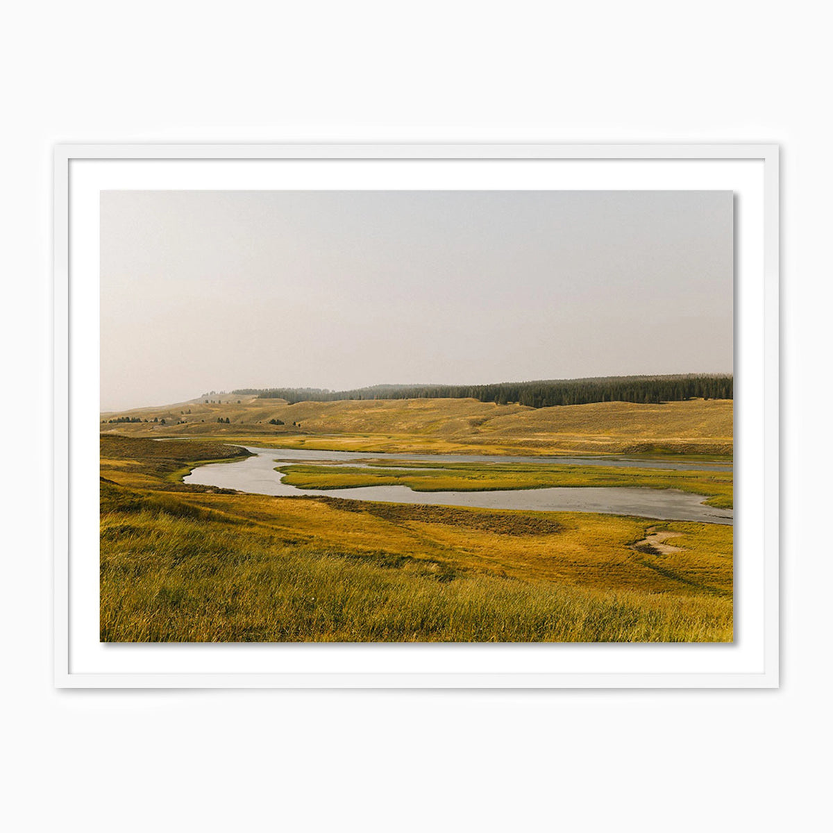 Where the Buffalo Roam | Denver Modern Furniture